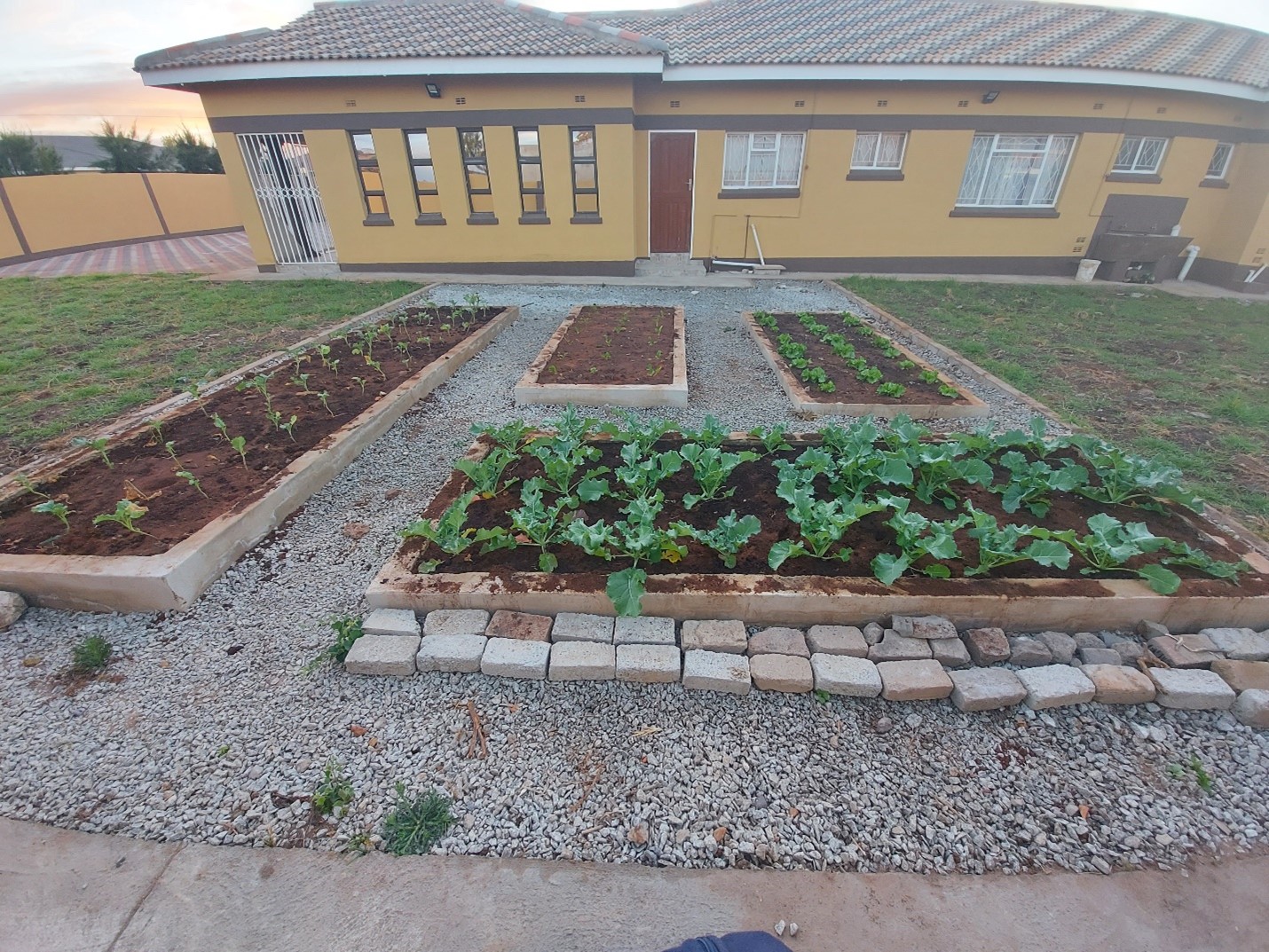 From Zimbabwe to Capital: Dr. Elliot Masocha's story | The Chimes